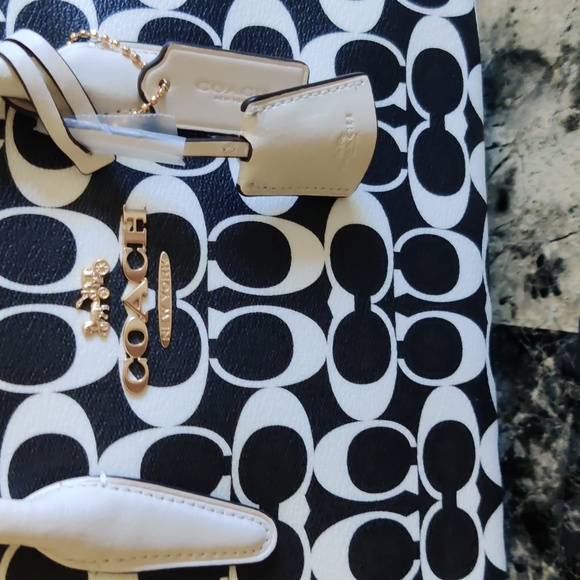 Coach | Bags | New Goldblack Multi Andrea Carryall In Signature Canvas ...